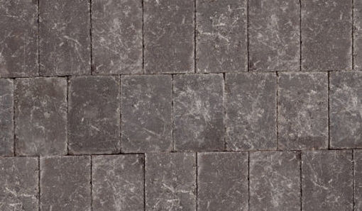 Arnts | OAKS Colonnade 60mm Paver